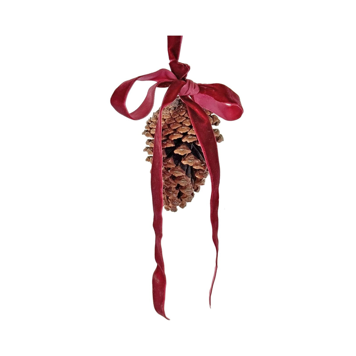 Cedar Bow Ornament | Brooke & Lou